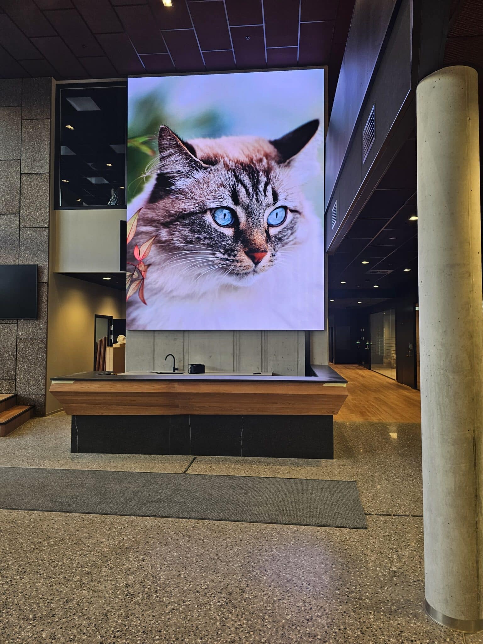Digitale skjermløsninger | Meliora AS | LED-skjermer til bedrifter