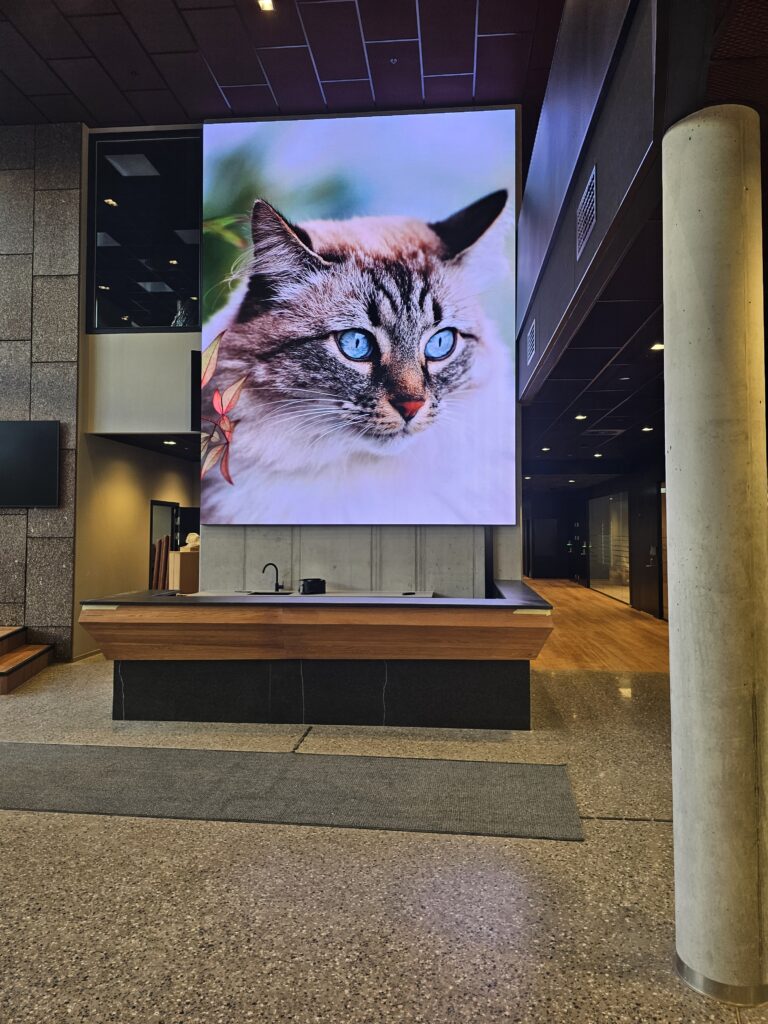 Digitale skjermløsninger | Meliora AS | LED-skjermer til bedrifter
